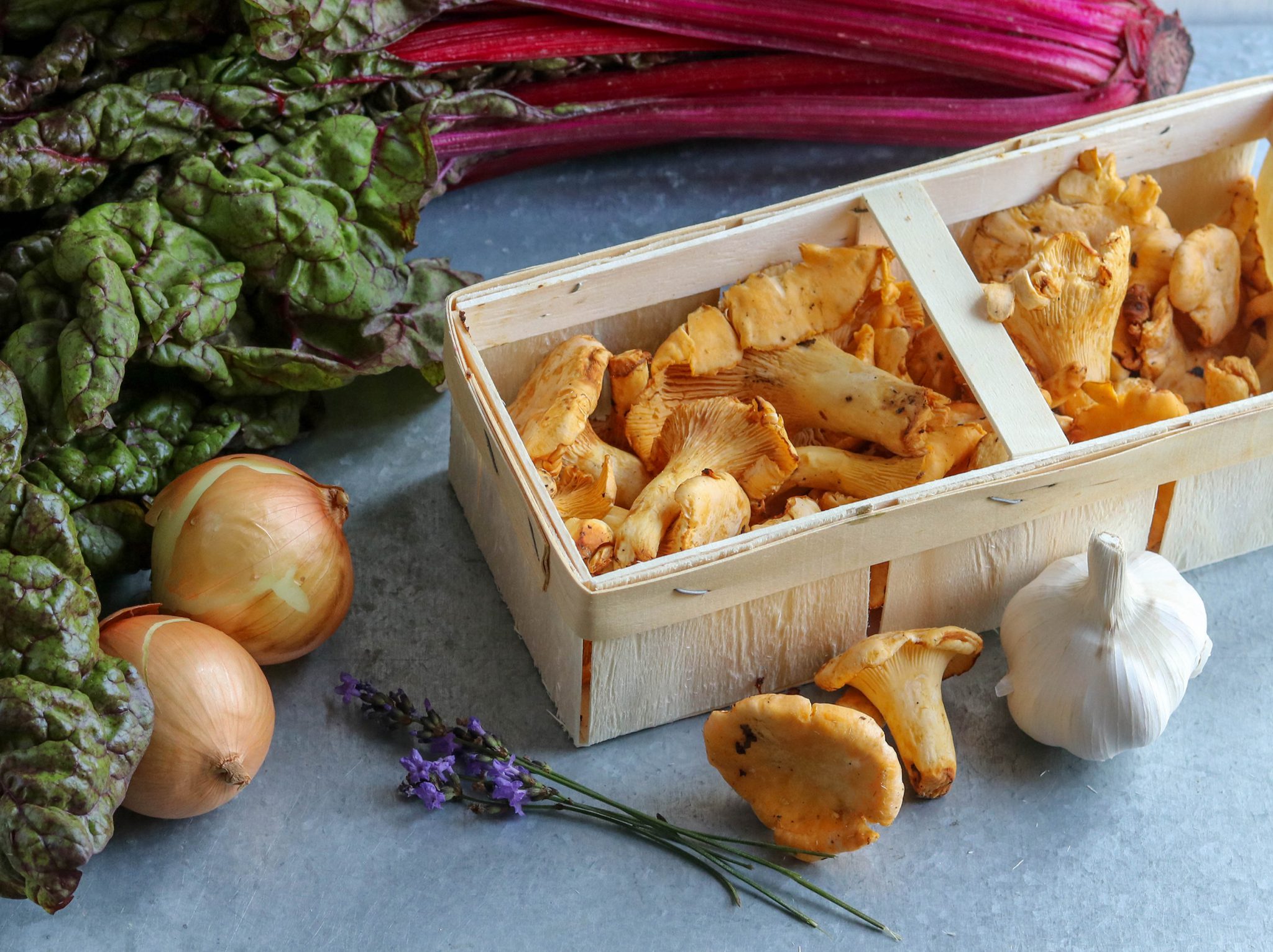 Echter Pfifferling - schon im Sommer zu finden - Daily Vegan