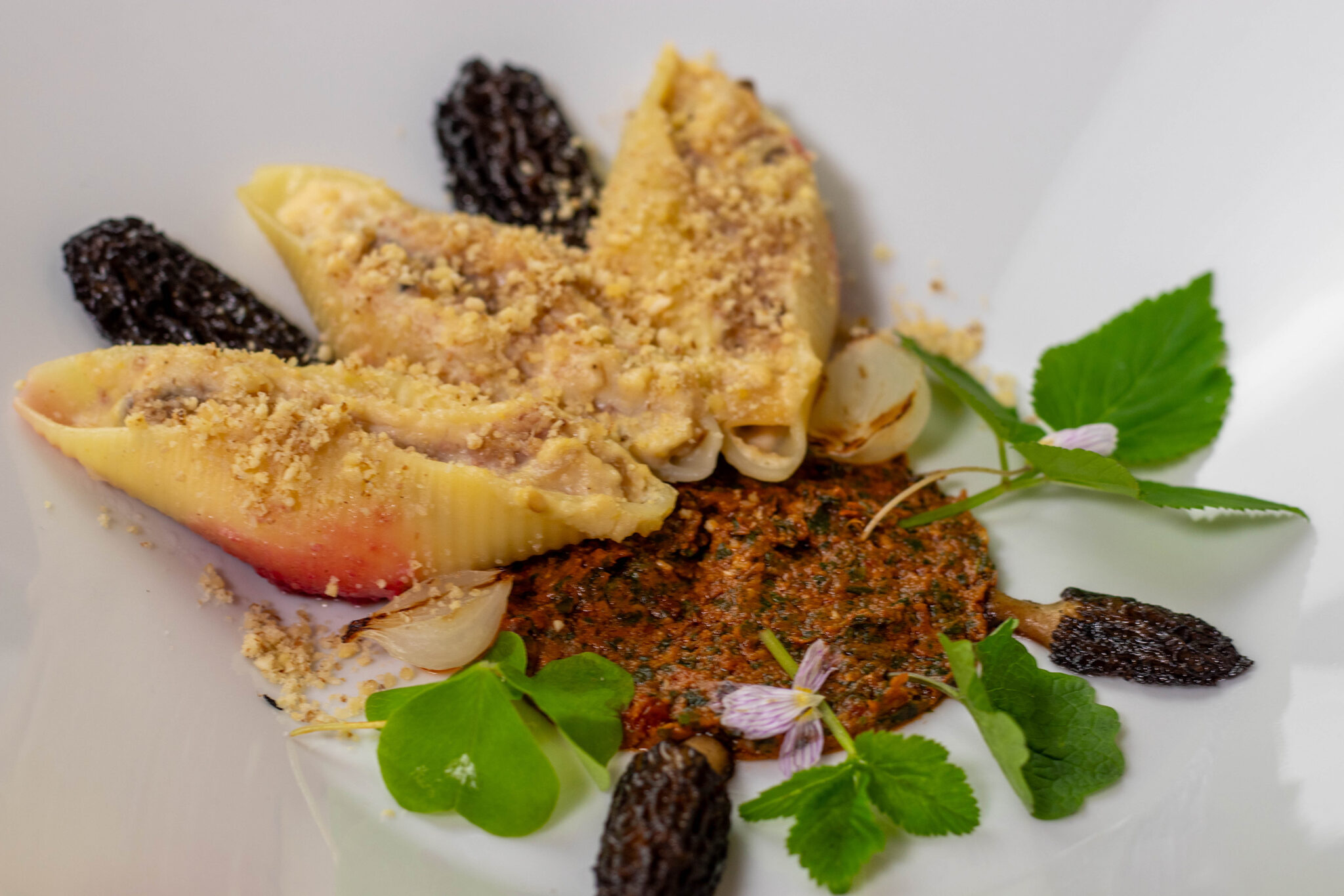 Muschelpasta gefüllt mit Morchel-Ricotta-Creme auf Gierschpesto ...